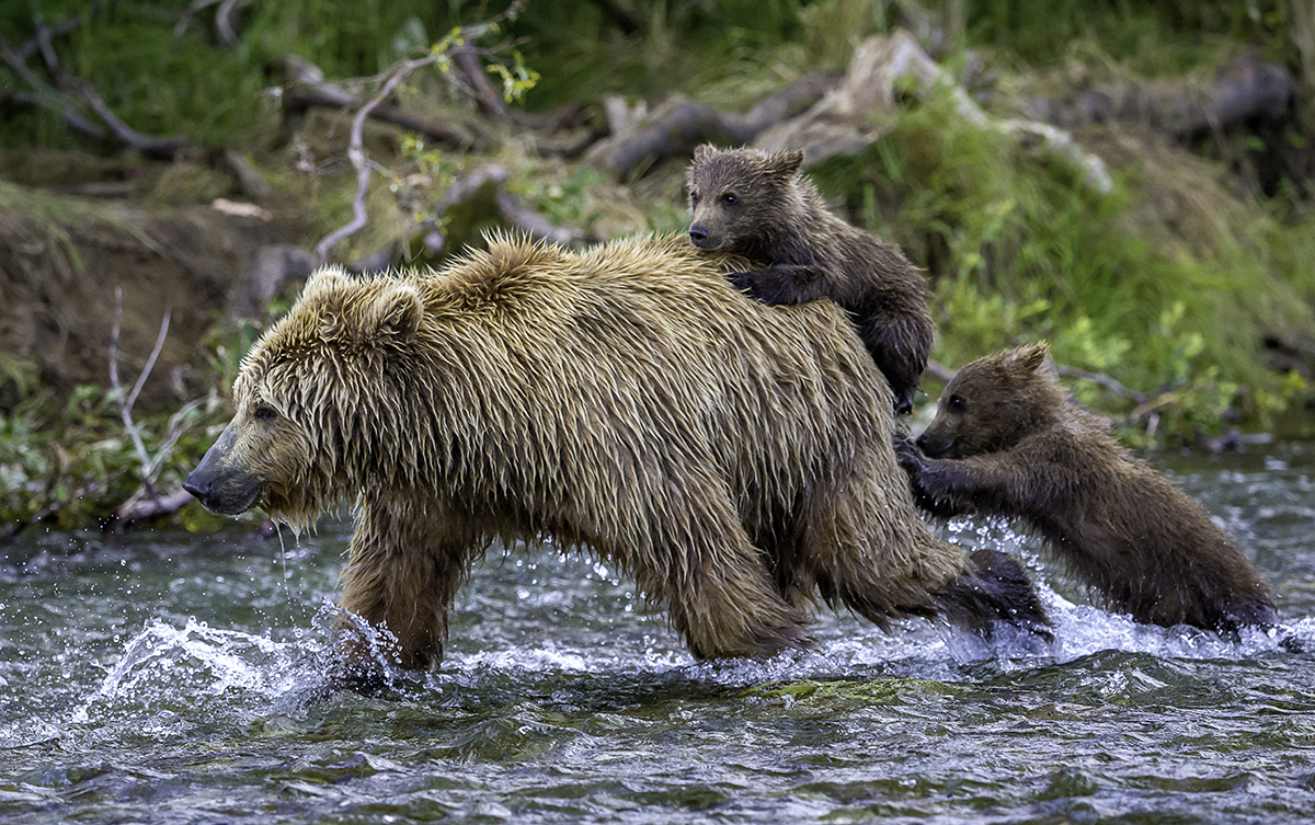 Happy Earth Day & National Parks Week! - Art Wolfe