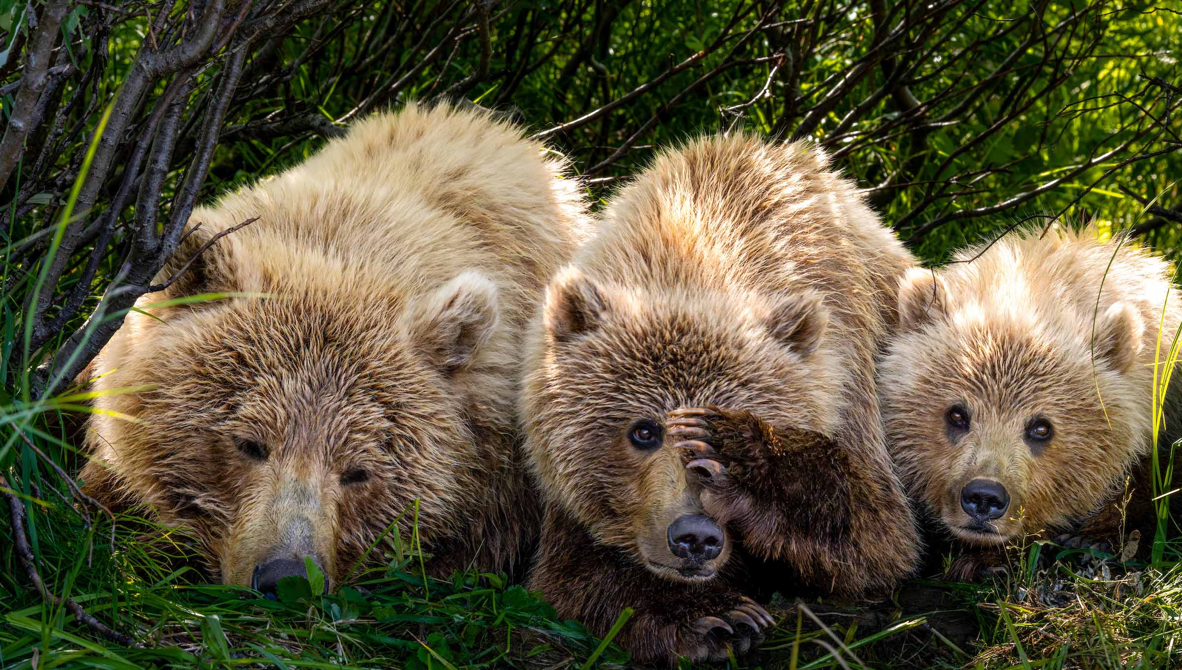 Join An Art Wolfe U.S. Workshop Before they Sell Out! - Art Wolfe