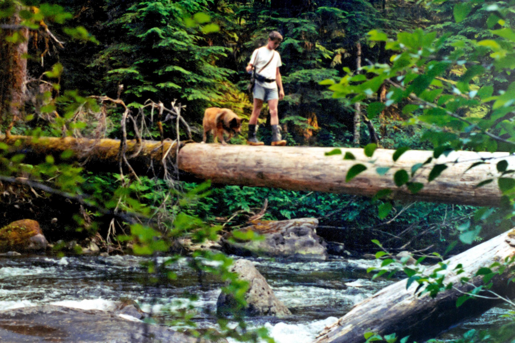 Historical Art Wolfe Gallery Archives - Art Wolfe