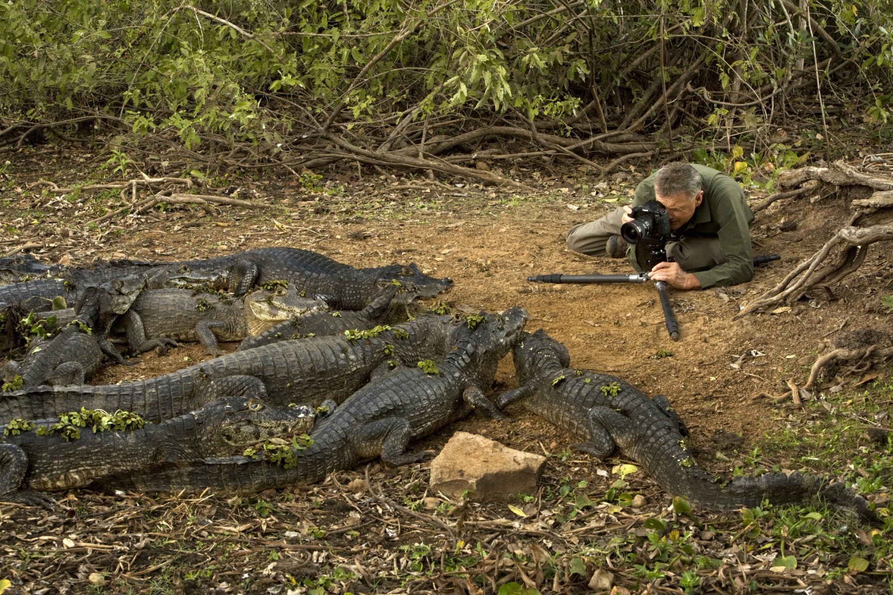 Historical Art Wolfe Gallery Archives - Art Wolfe