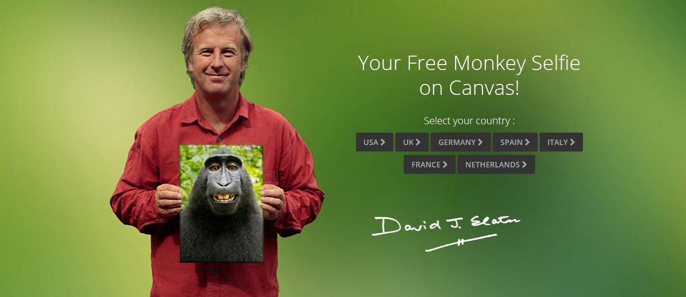 David Slater and the Monkey "Selfie" - Art Wolfe