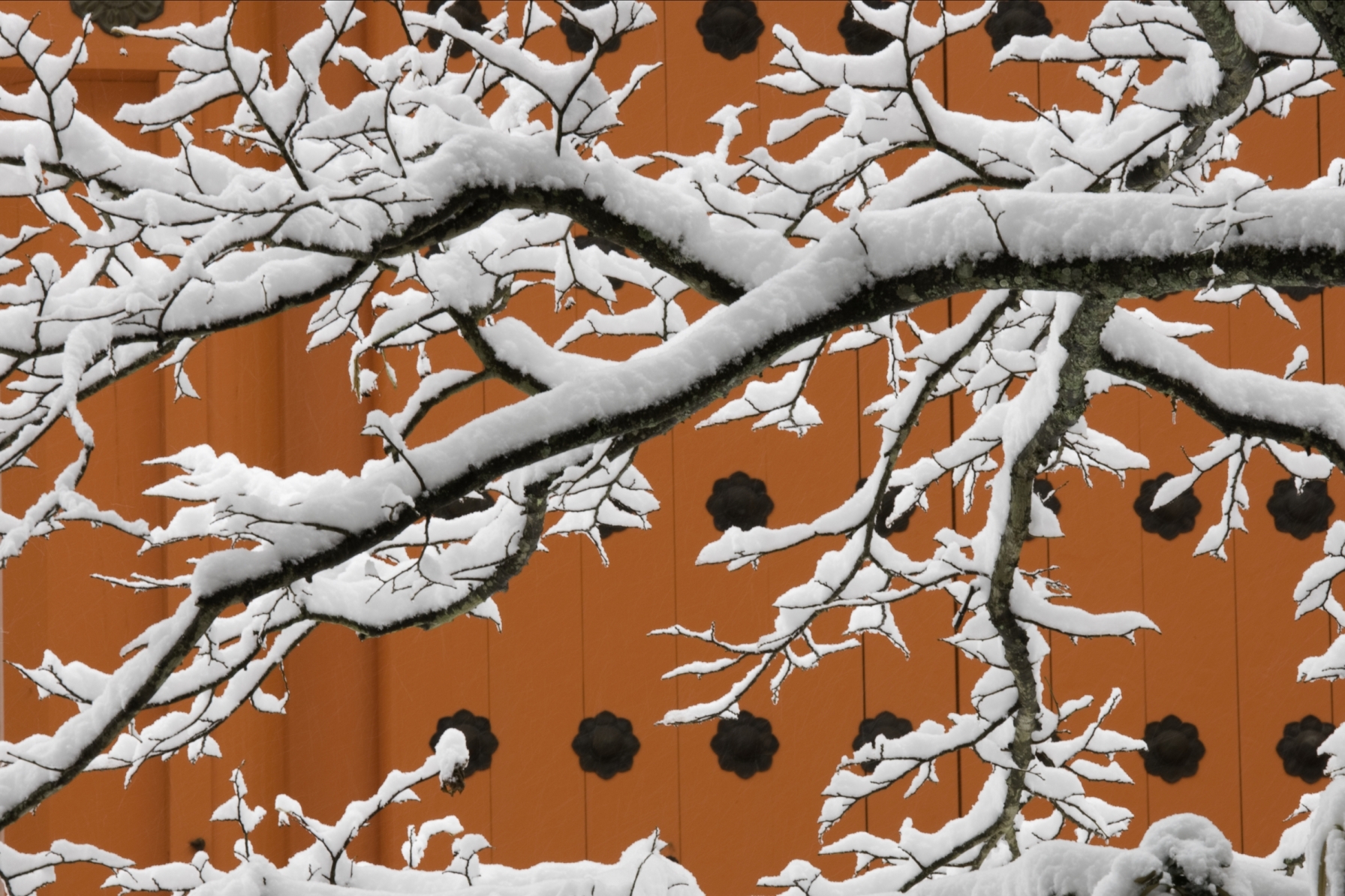 Koyasan Shingon Temple, Wakayama Prefecture, Japan - Art Wolfe