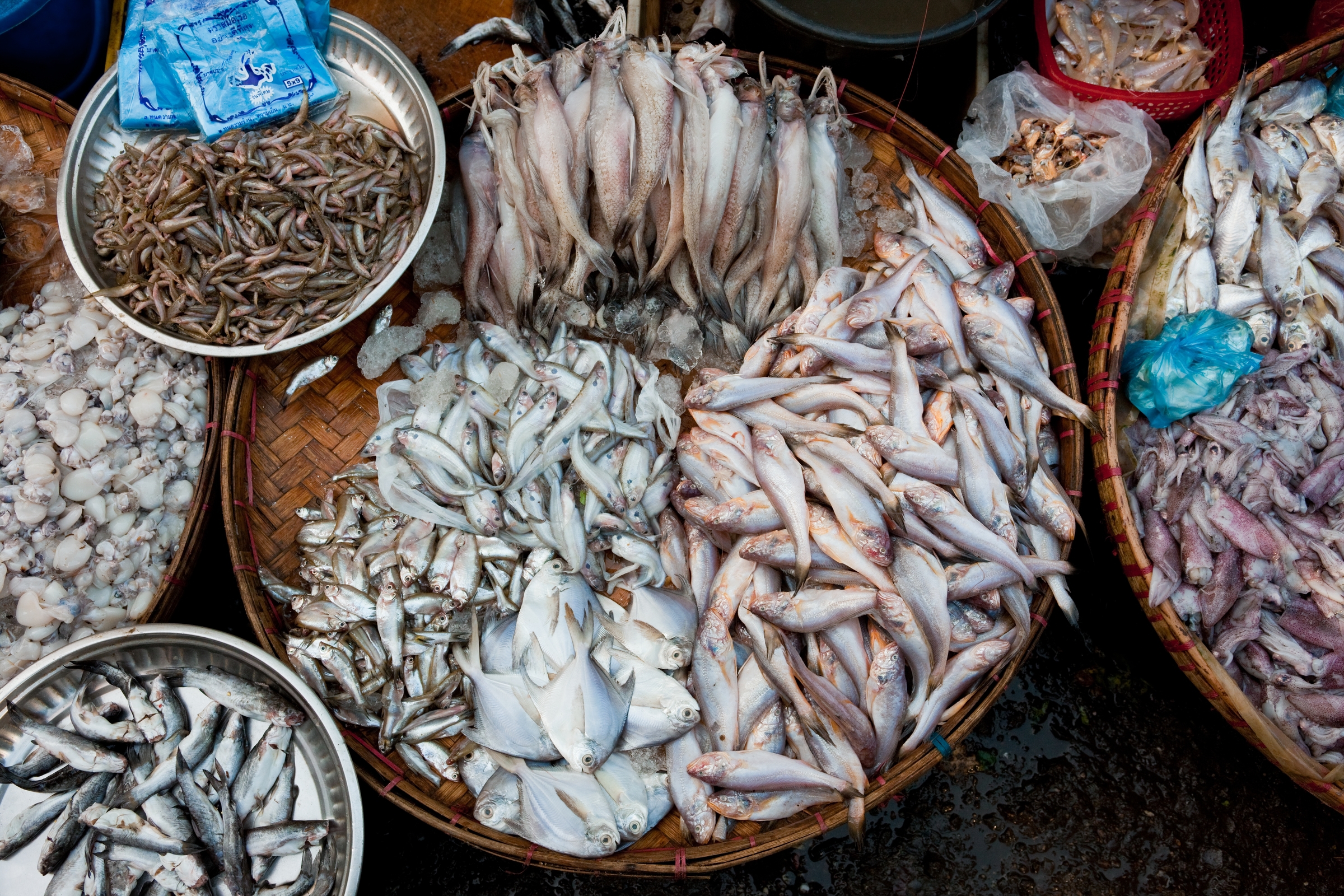 Fish Vendor, Yangon, Myanmar - Art Wolfe