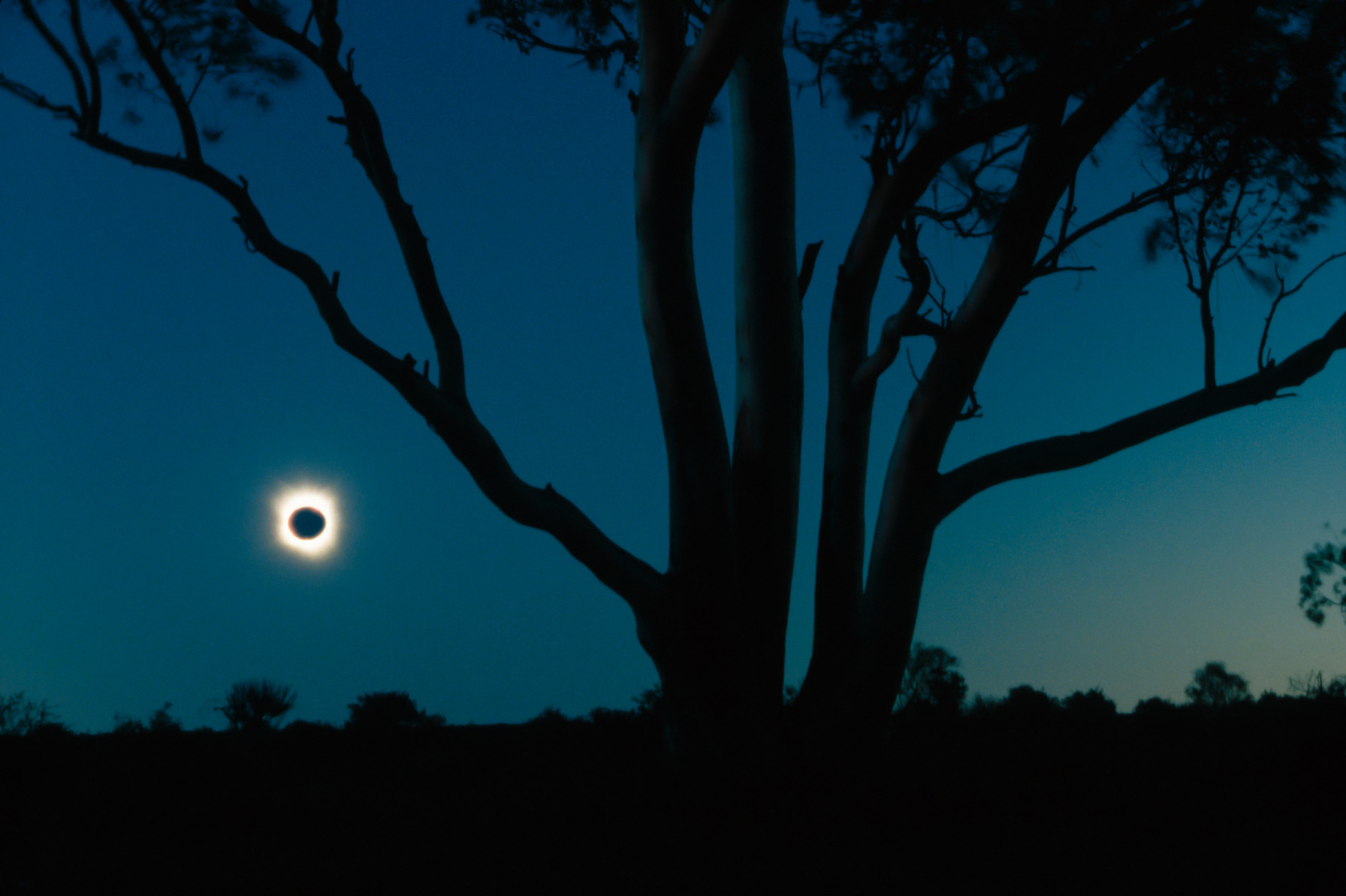 Edge of the Earth Corner of the Sky Archives - Art Wolfe