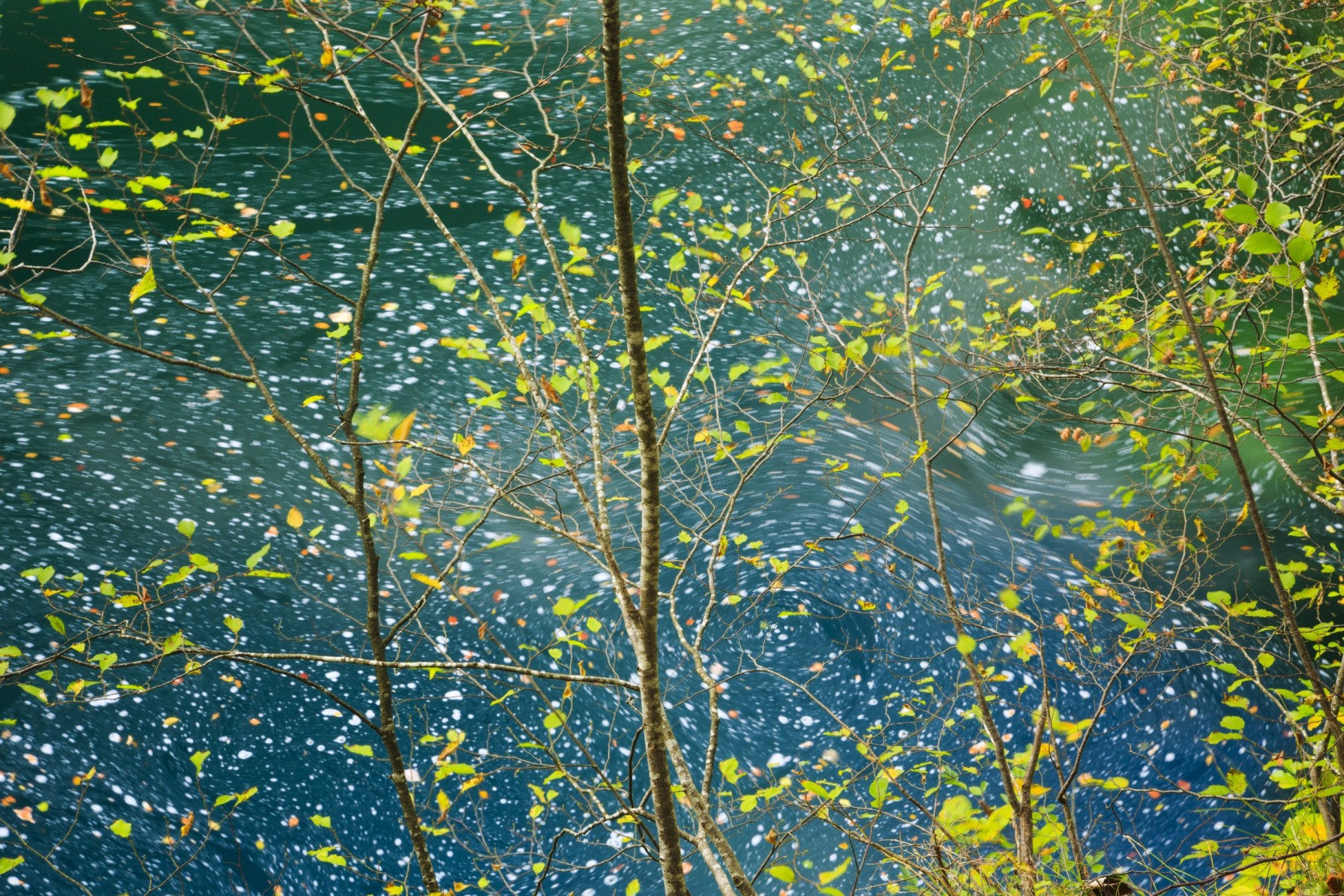 Leaf Eddy - Art Wolfe