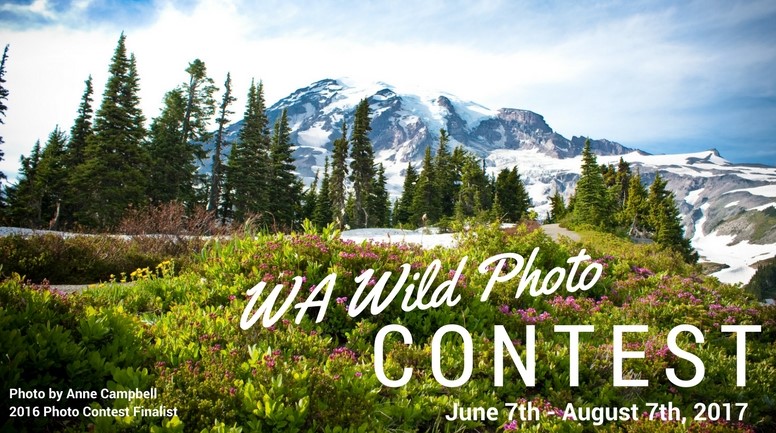 Washington Wild Photo Contest & Tips from Art! - Art Wolfe