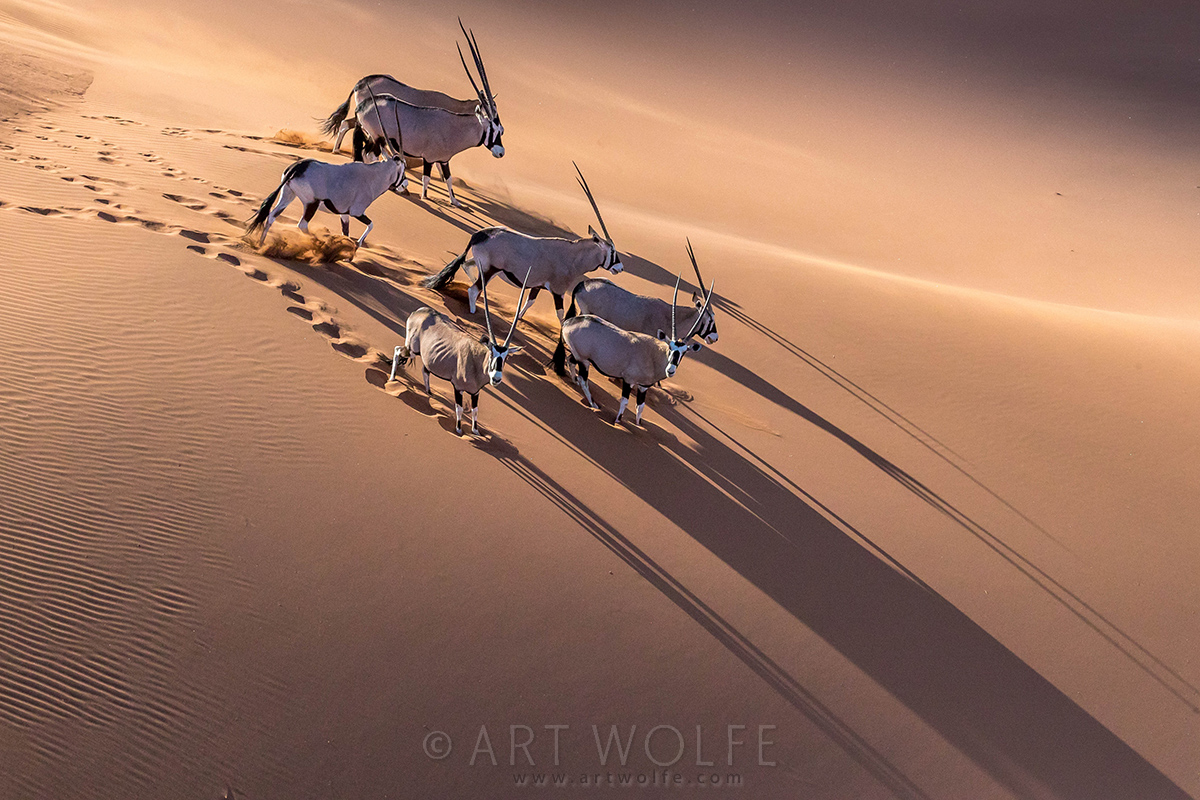 New Photos from Namibia - Art Wolfe