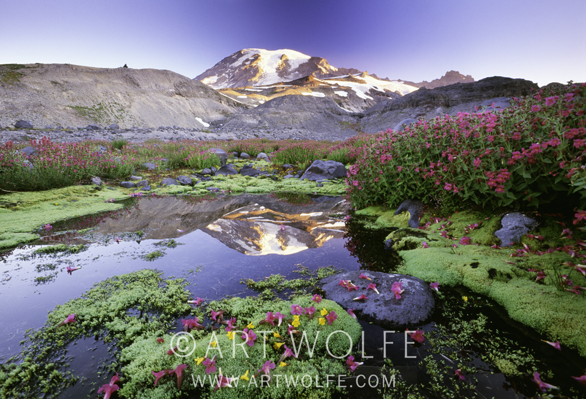 Wednesday Wisdom - What to Shoot in June and July? - Art Wolfe