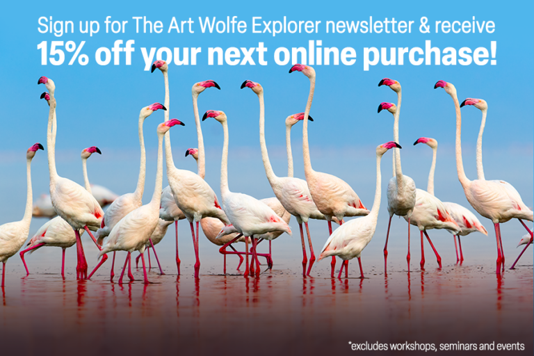 Join Art Wolfe for a Wildlife-Focused Tours in 2026! - Art Wolfe