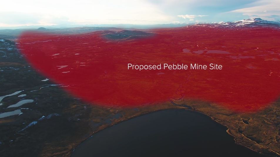 #WildlifeWednesday - No Pebble Mine! - Art Wolfe