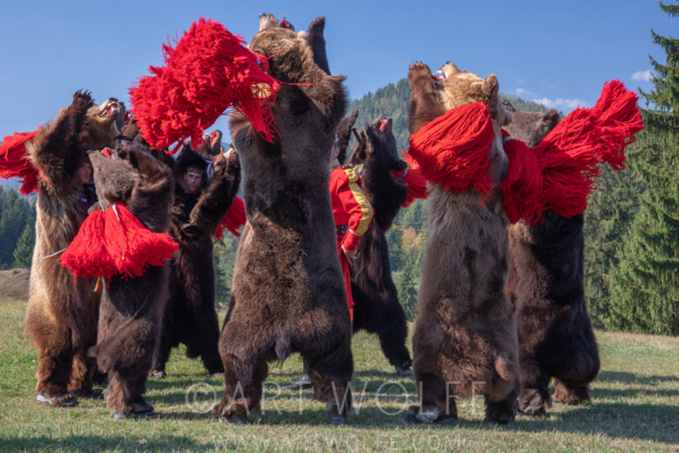 Technique Tuesday - Photographing Bear Dancers in Romania - Art Wolfe