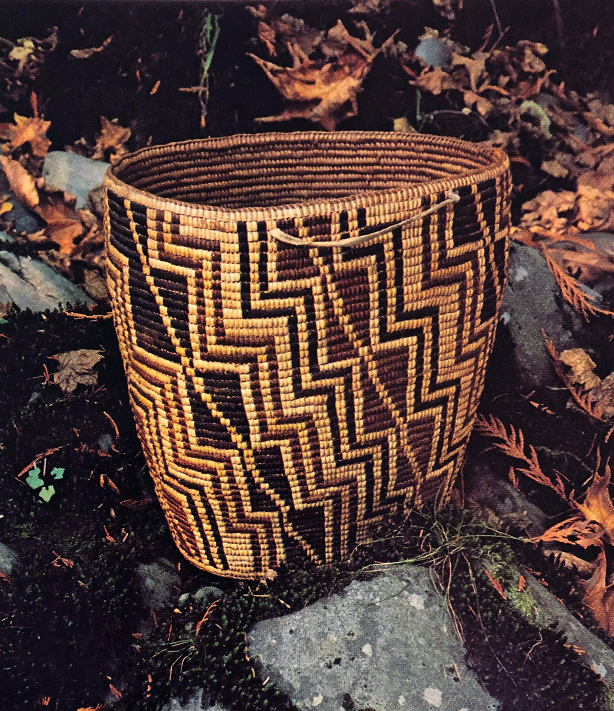 Technique Tuesday - A Basket of Inspiration! - Art Wolfe