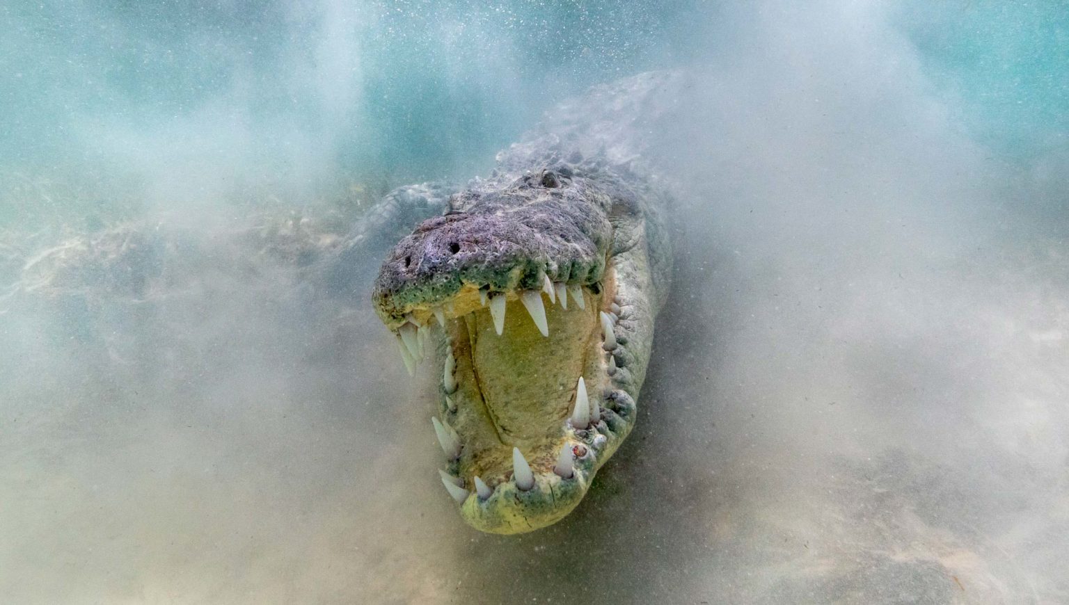 Art Wolfe | Nature & Cultural Photography 1-888-973-0011