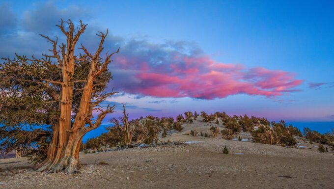 Art Wolfe | Nature & Cultural Photography 1-888-973-0011