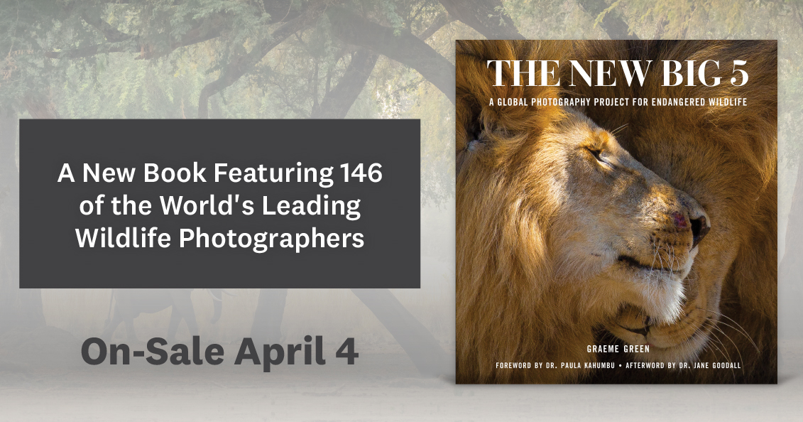 From Art's Bookshelf - The New Big 5 & Remembering Leopards - Art Wolfe