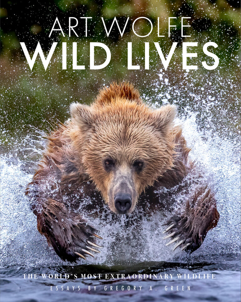 WILD Wednesday – Wild Lives Coming Soon! Katmai Bears, Alaska - Art Wolfe