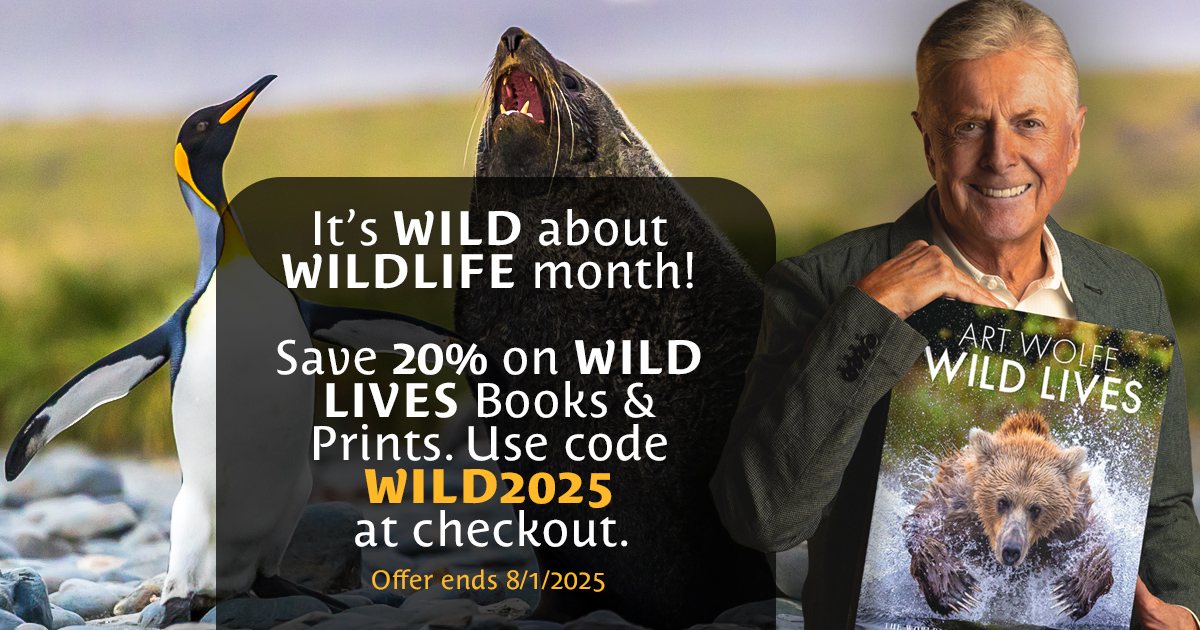 Happy Wild About Wildlife Month! Save 20% on WILD LIVES Books & Prints ...