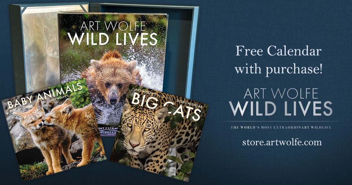 Free Calendar with purchase of Wild Lives! - Art Wolfe